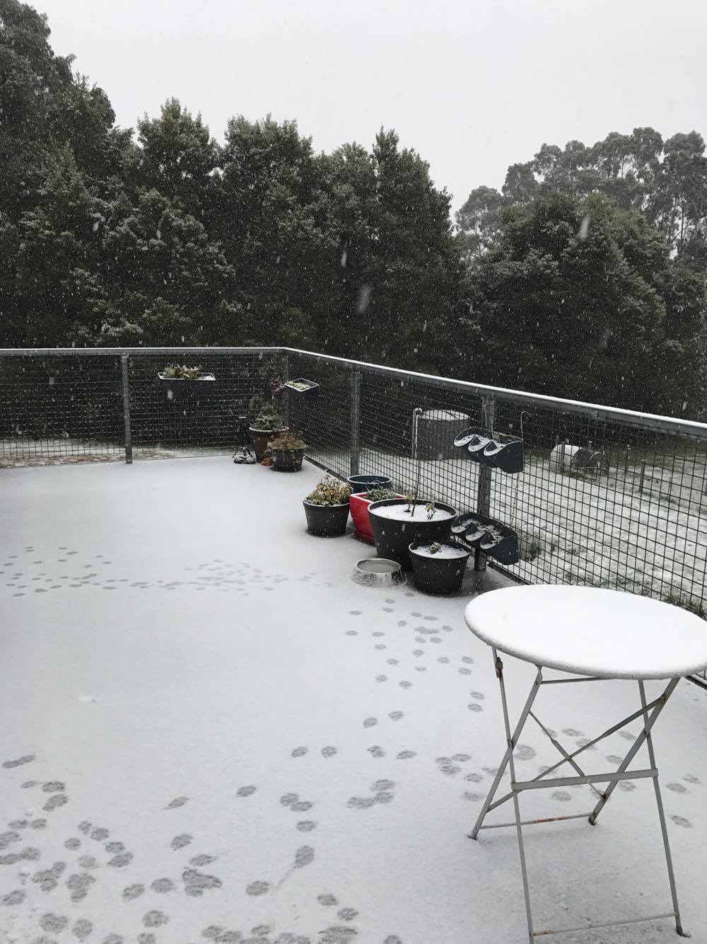 Stephanie Chalkley-Rhoden - ABC News