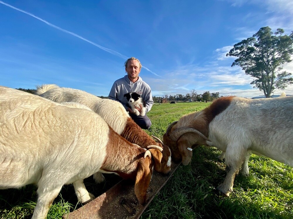 Tasmanian Country Hour - ABC