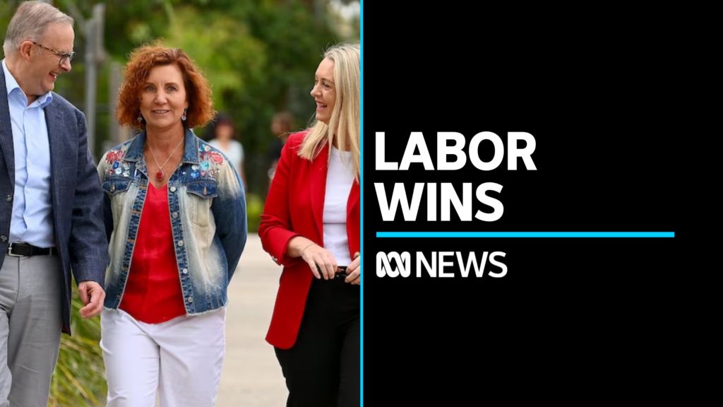 Labor wins crucial Dunkley by-election - ABC News
