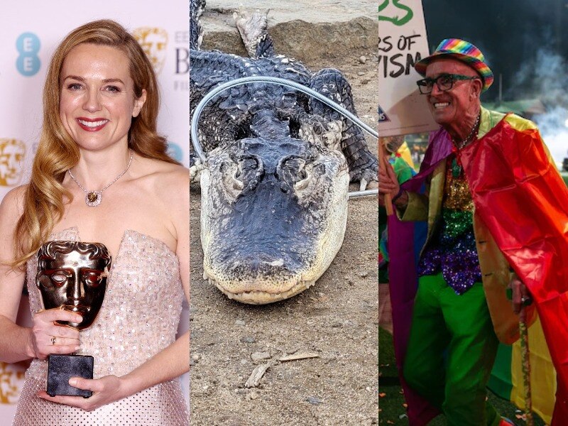 From superheros to super awkward moments: Can you conquer this week's ...