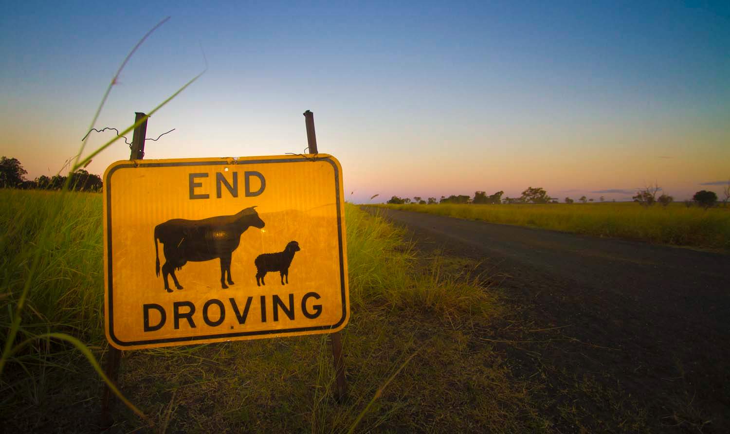 Rod Manning goes droving - ABC listen