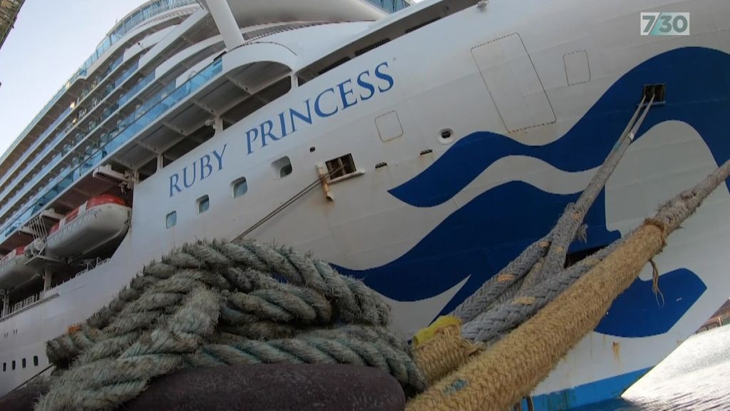 Ruby Princess COVID inquiry slams agriculture department - ABC News
