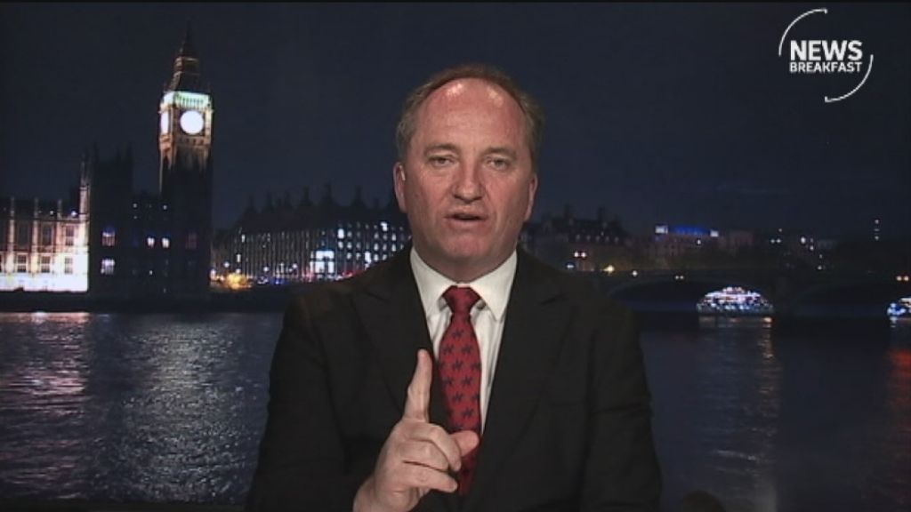 Barnaby Joyce on Christopher Pyne's leaked recording - ABC News