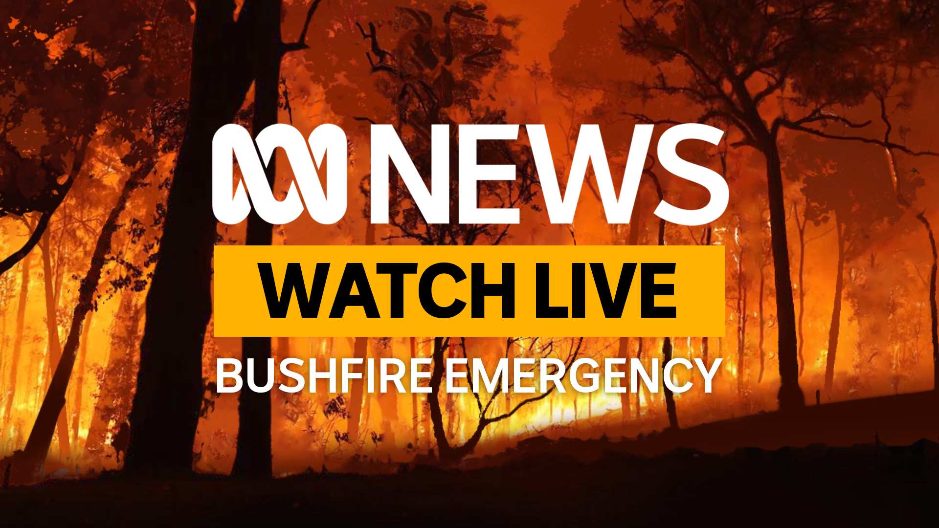 NSW and Victoria firefighters, residents brace for night of battling ...