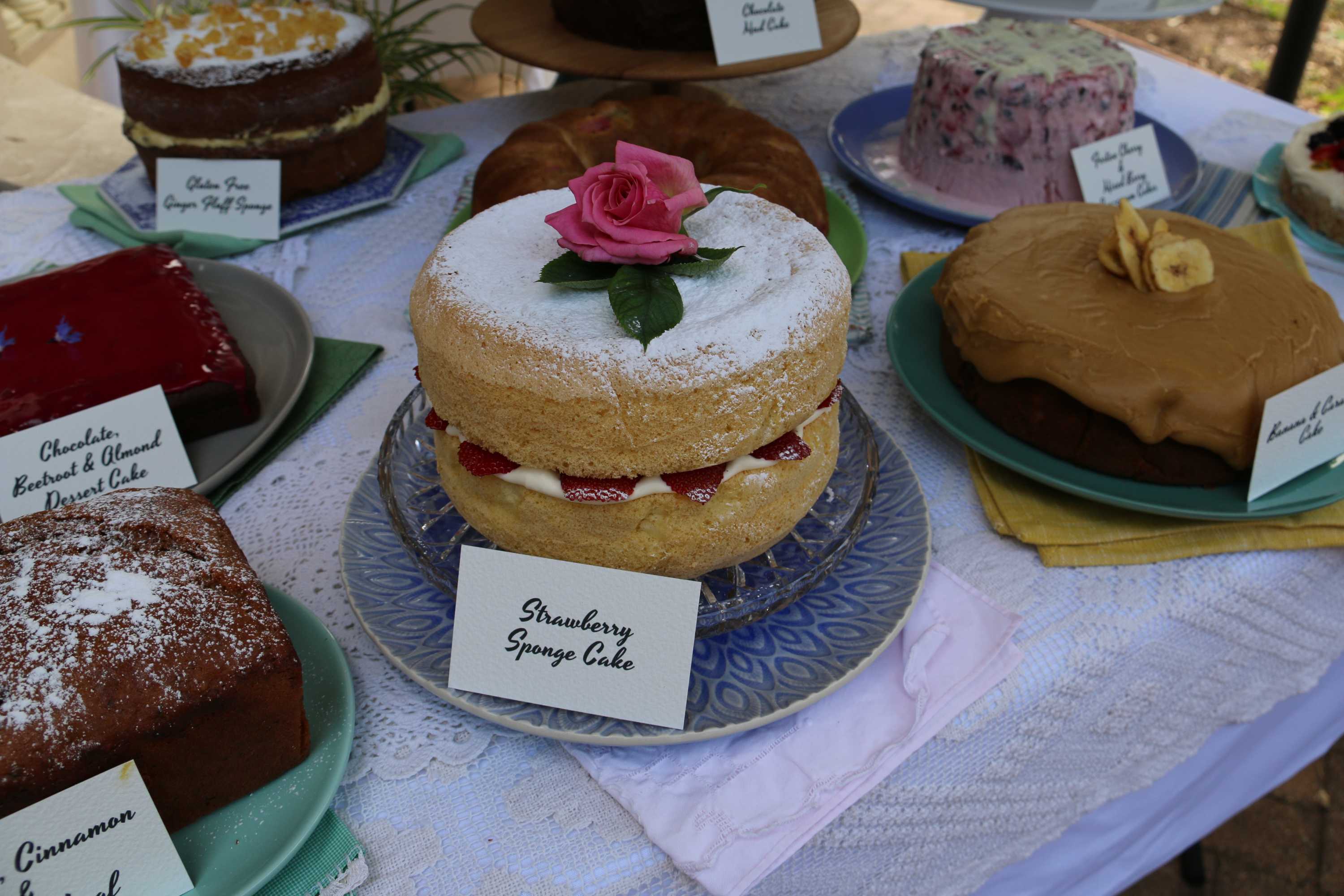 South Australian Country Women's Association embraces cooking and craft ...