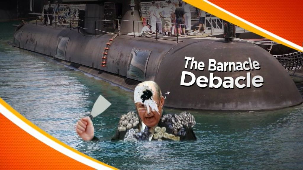 The barnacle debacle - ABC News