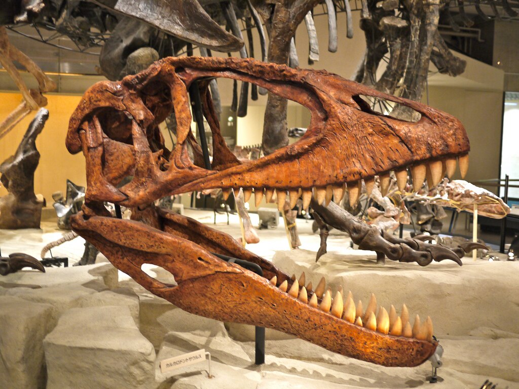 Who owns dinosaur bones? - ABC listen