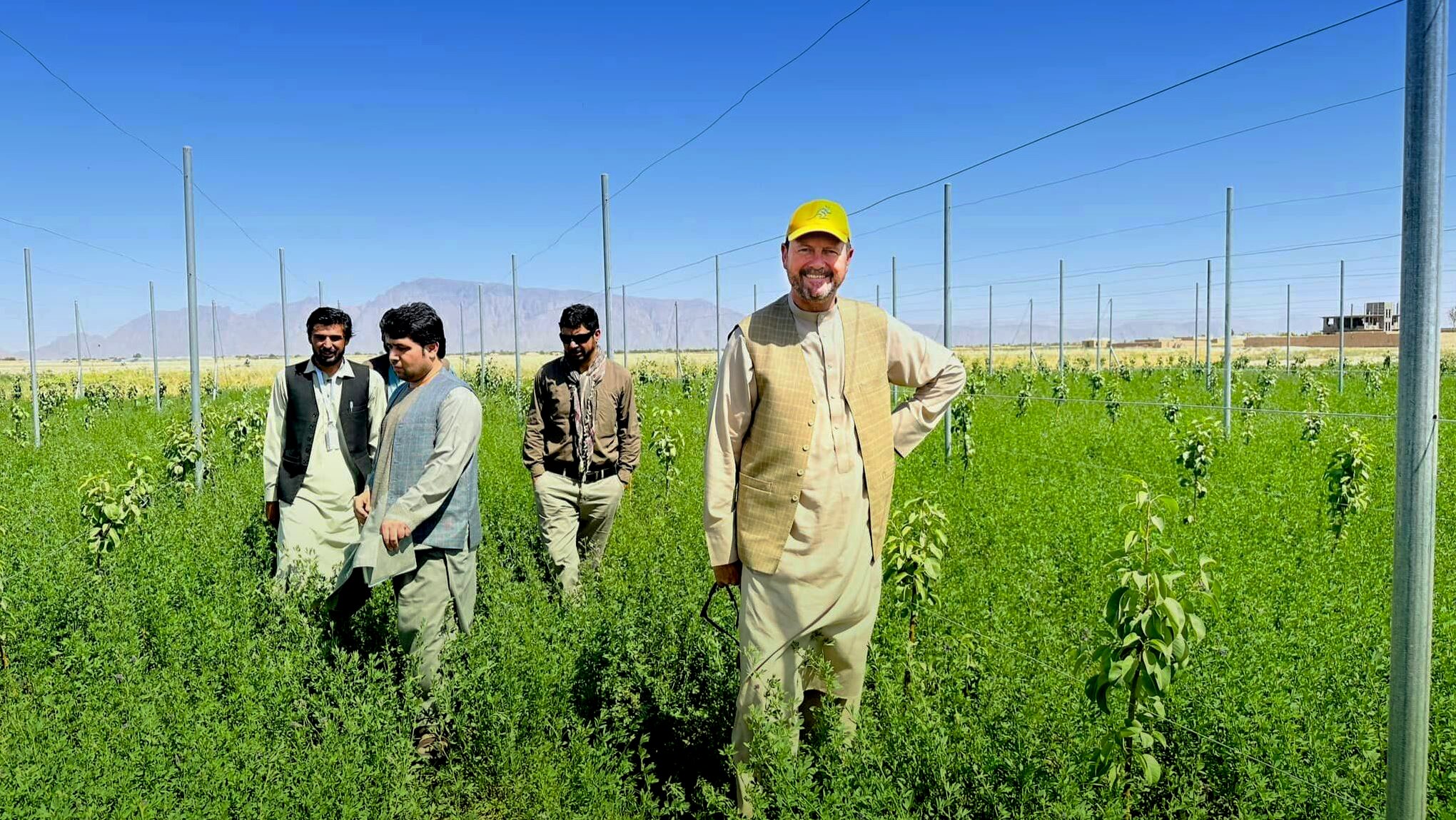Australian consultant helping Afghanistan farmers grow alternative ...