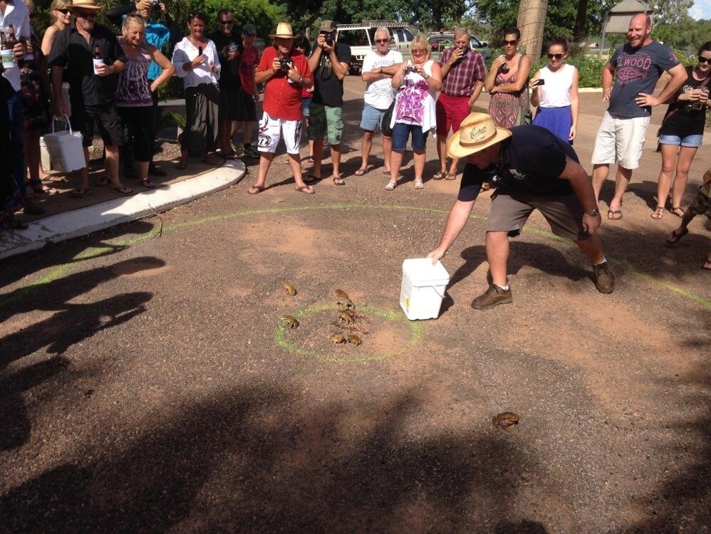 Kimberley celebrates Australia Day with toads - ABC News