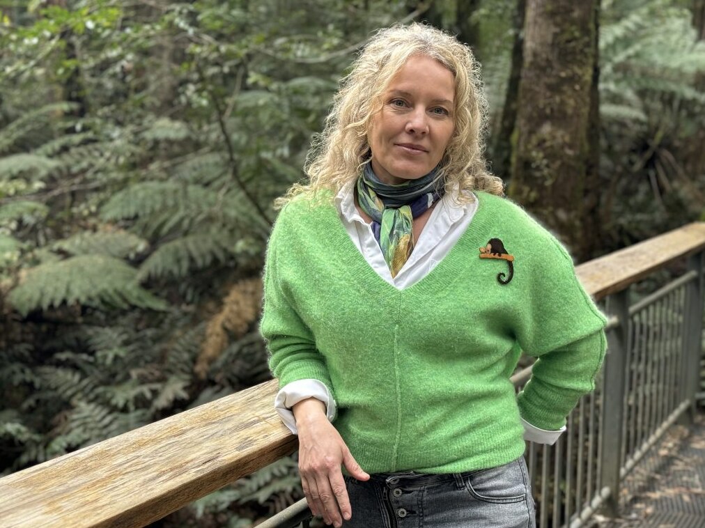 Great Forest National Park advocates call on Victorian government to ...