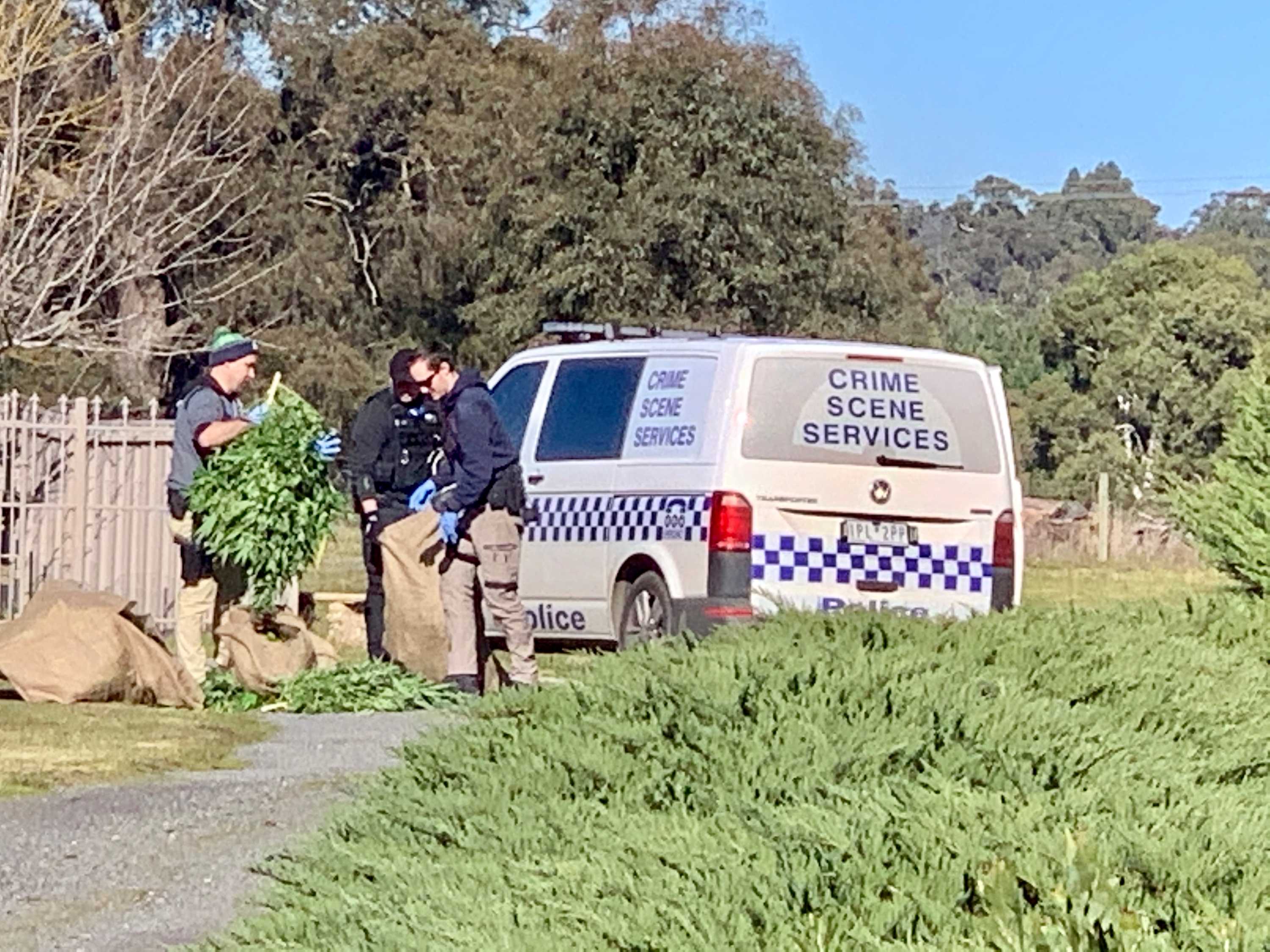 Police bust 'sophisticated' cannabis operation in backyard sheds near ...