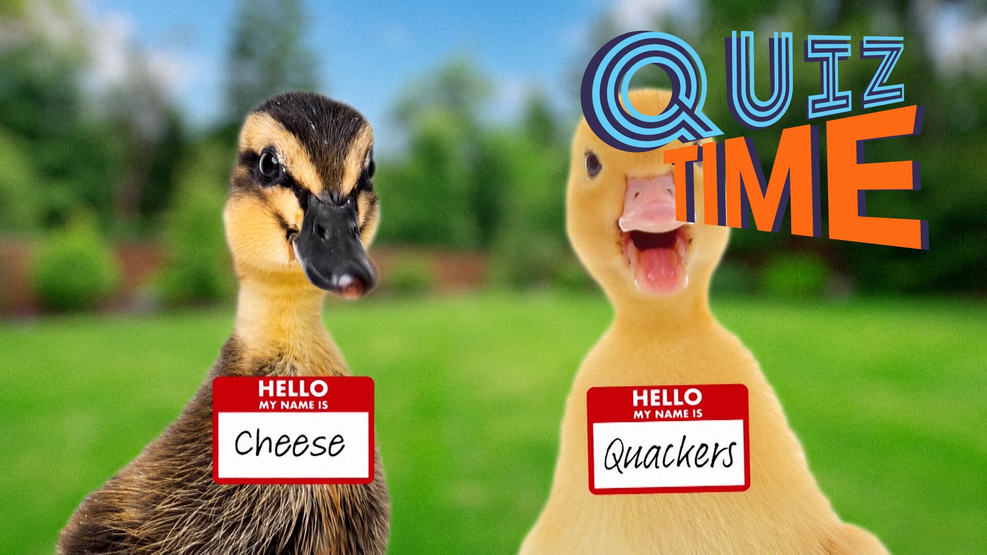 Classroom - Behind The News