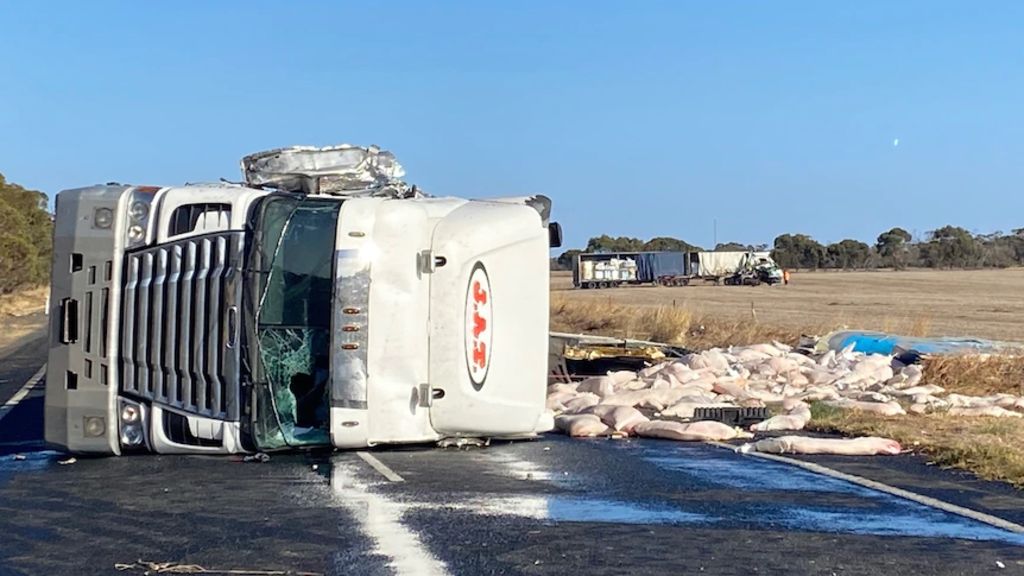 Gerang Gerung - 3418 - Location - ABC News