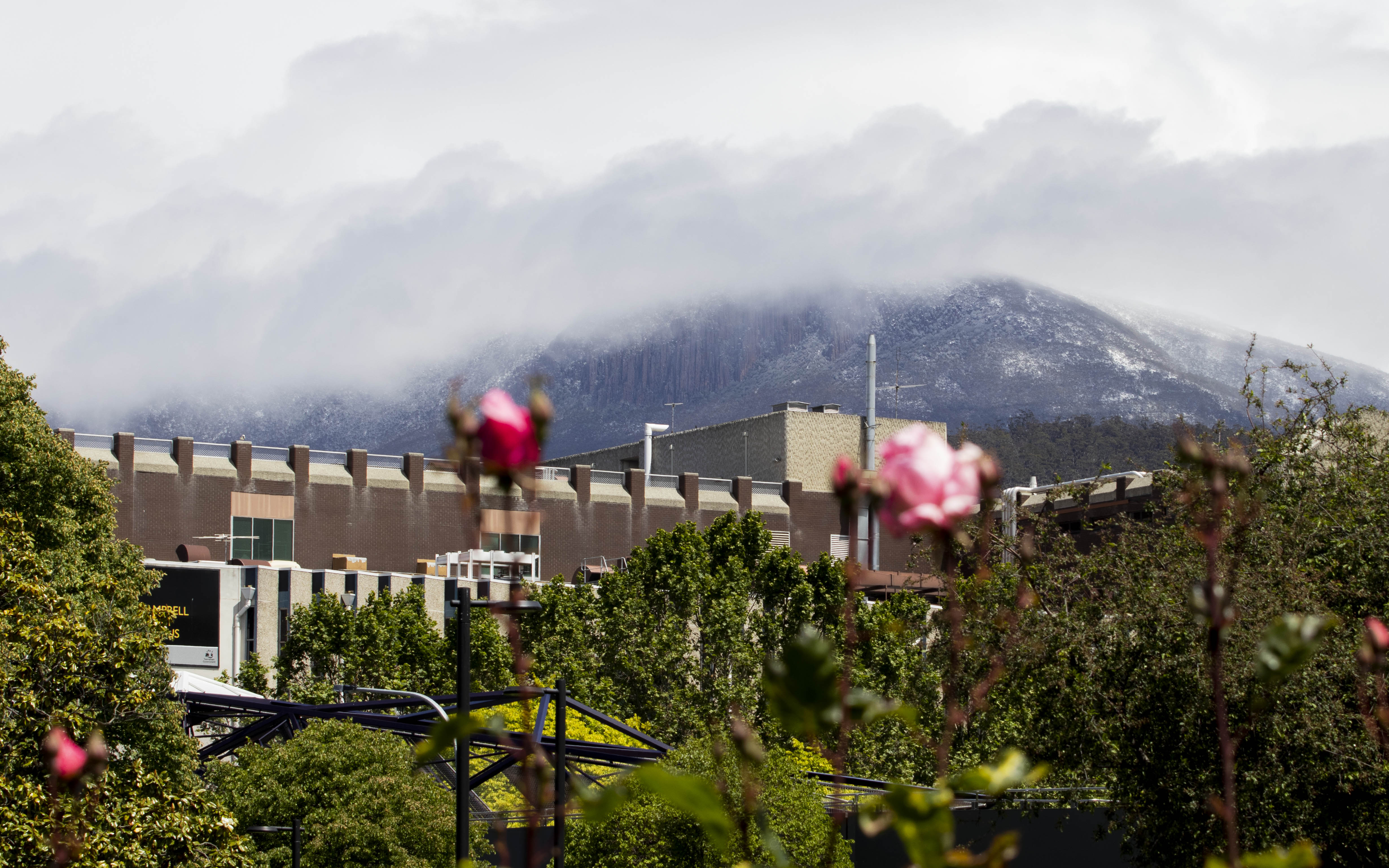 Hobart hit with snow as city shivers through coldest November night in ...
