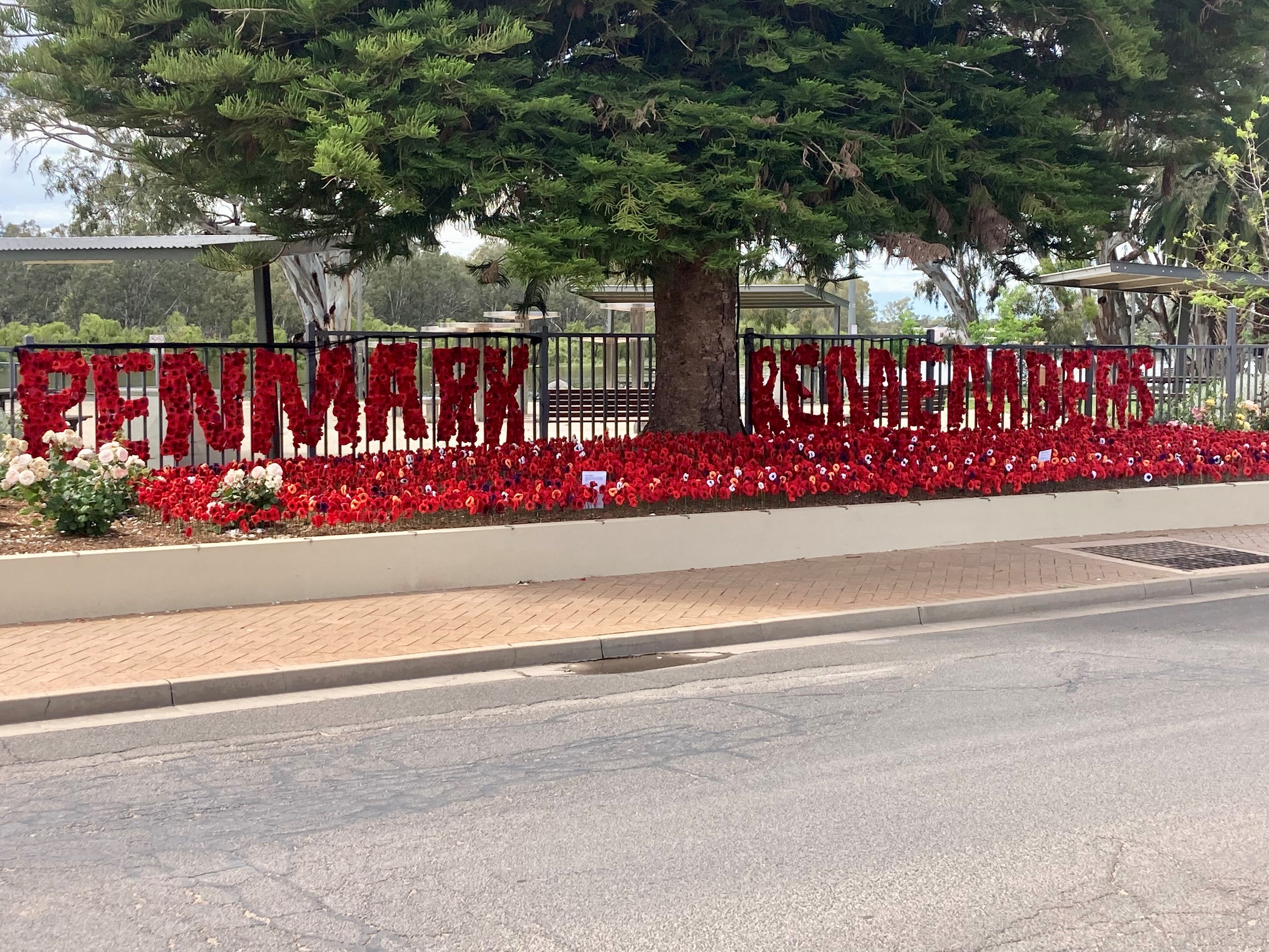 Poppies for remembrance day bring sea of red to middle of Renmark - ABC ...