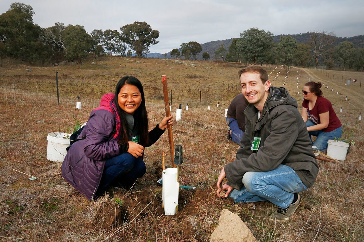 Seed dating: Canberrans branch out in the search for love - ABC News