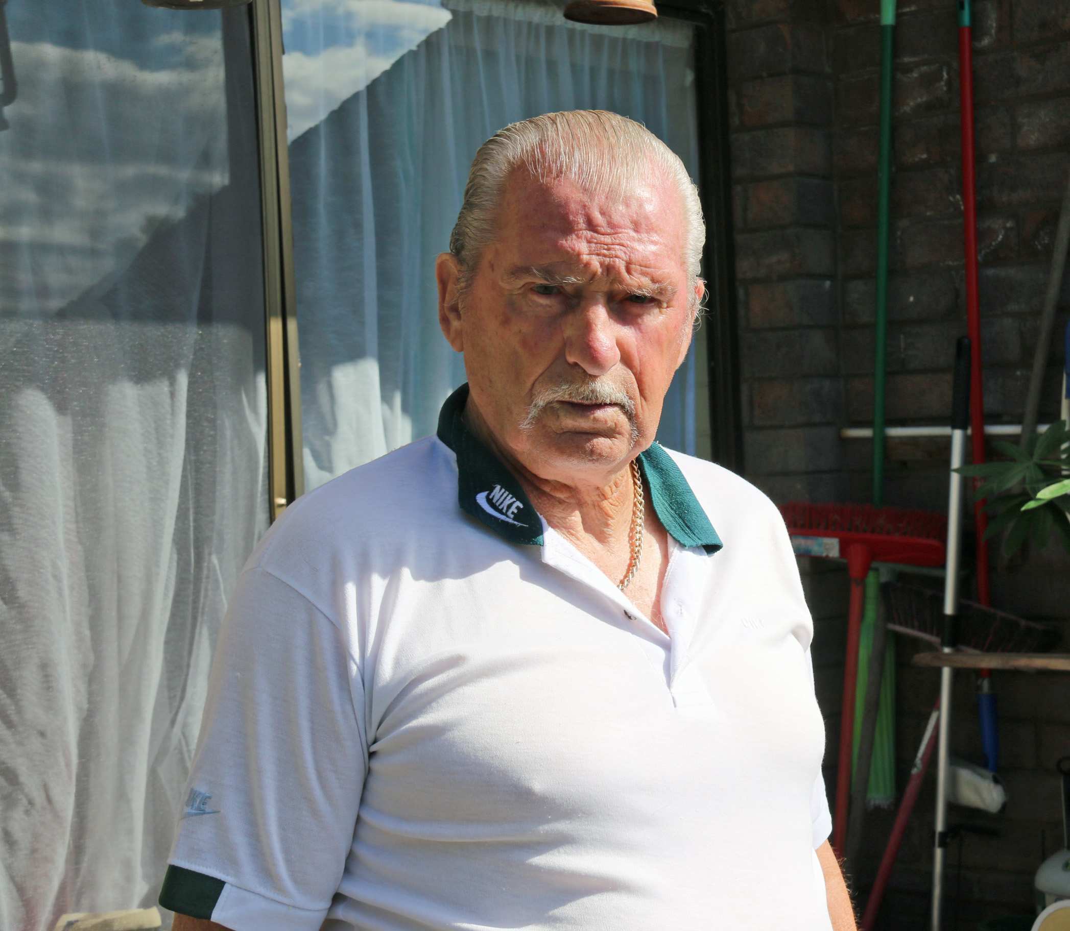 Housing Tasmania urged to remove wasp nest in pensioner's house - ABC News