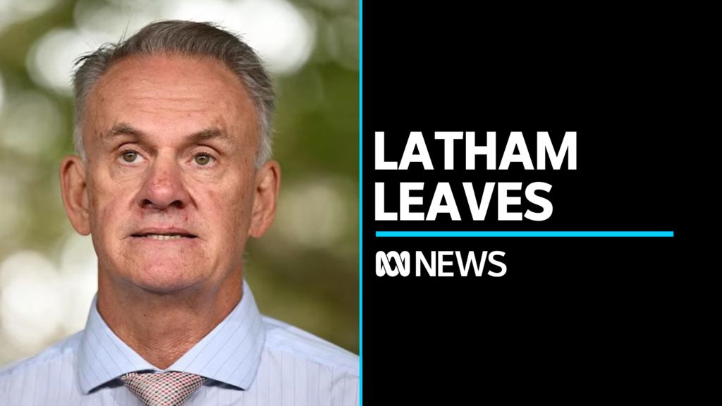Former One Nation NSW leader Mark Latham quits party - ABC News