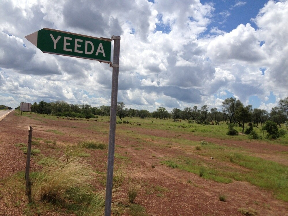 Kimberley abattoir on track for opening in second half of 2015 - ABC News