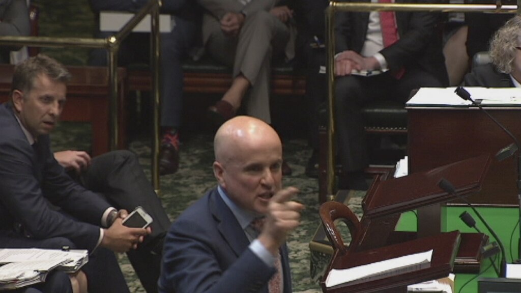 Former Nationals deputy Adrian Piccoli mimes shooting Labor MPs during ...