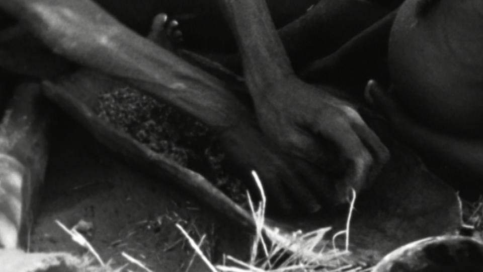 World’s first bakers? - ABC Education