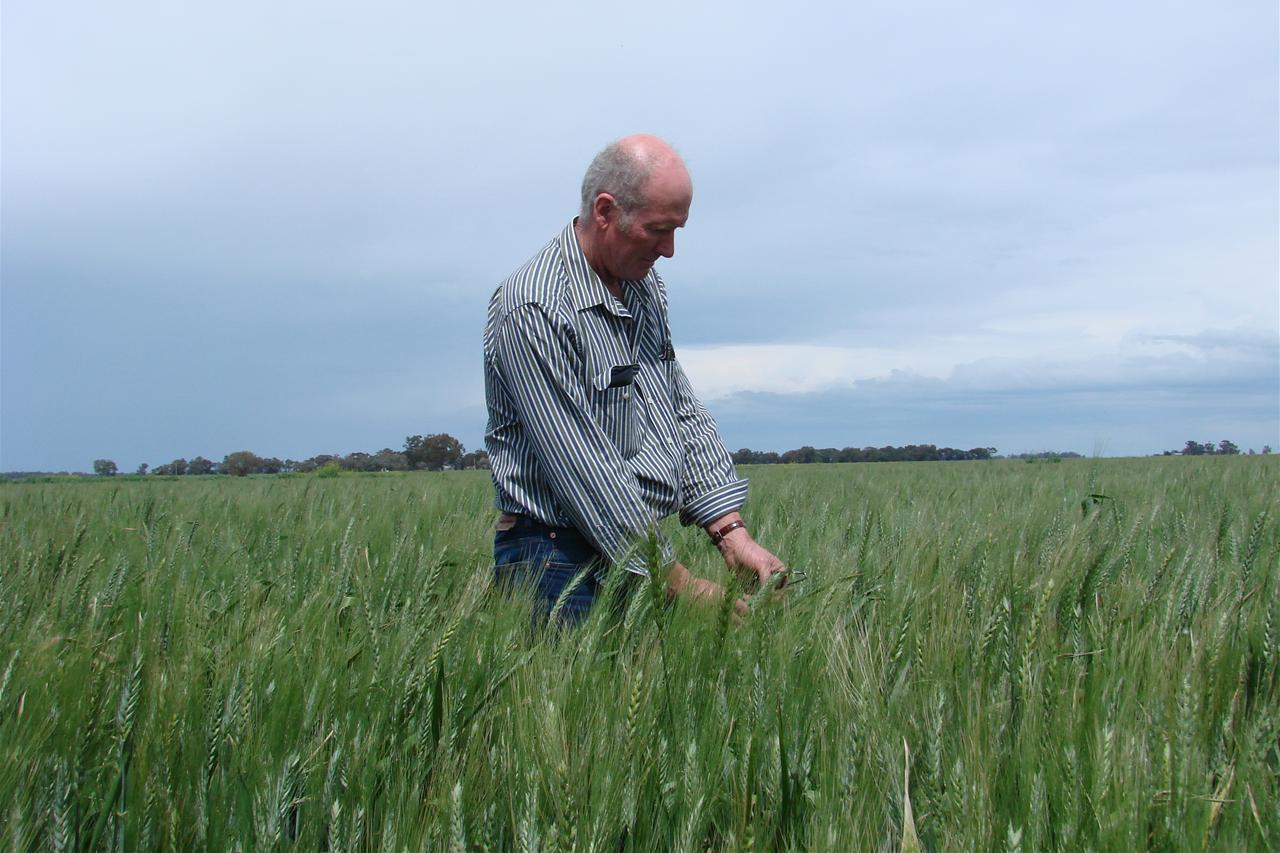 Farmers being ignored on water debate - ABC News