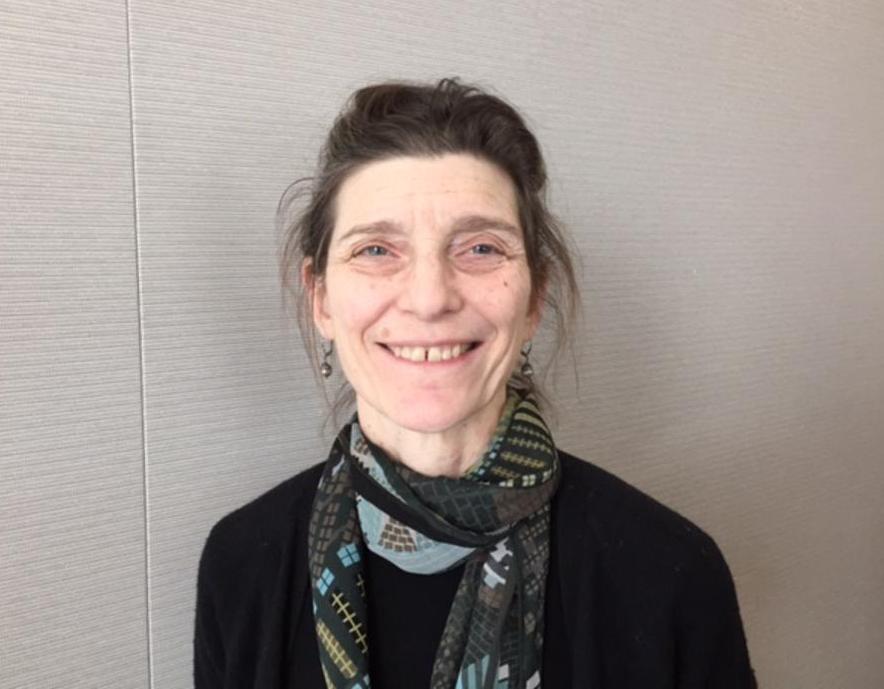 Ann Goldstein and the art of translation - ABC Radio National