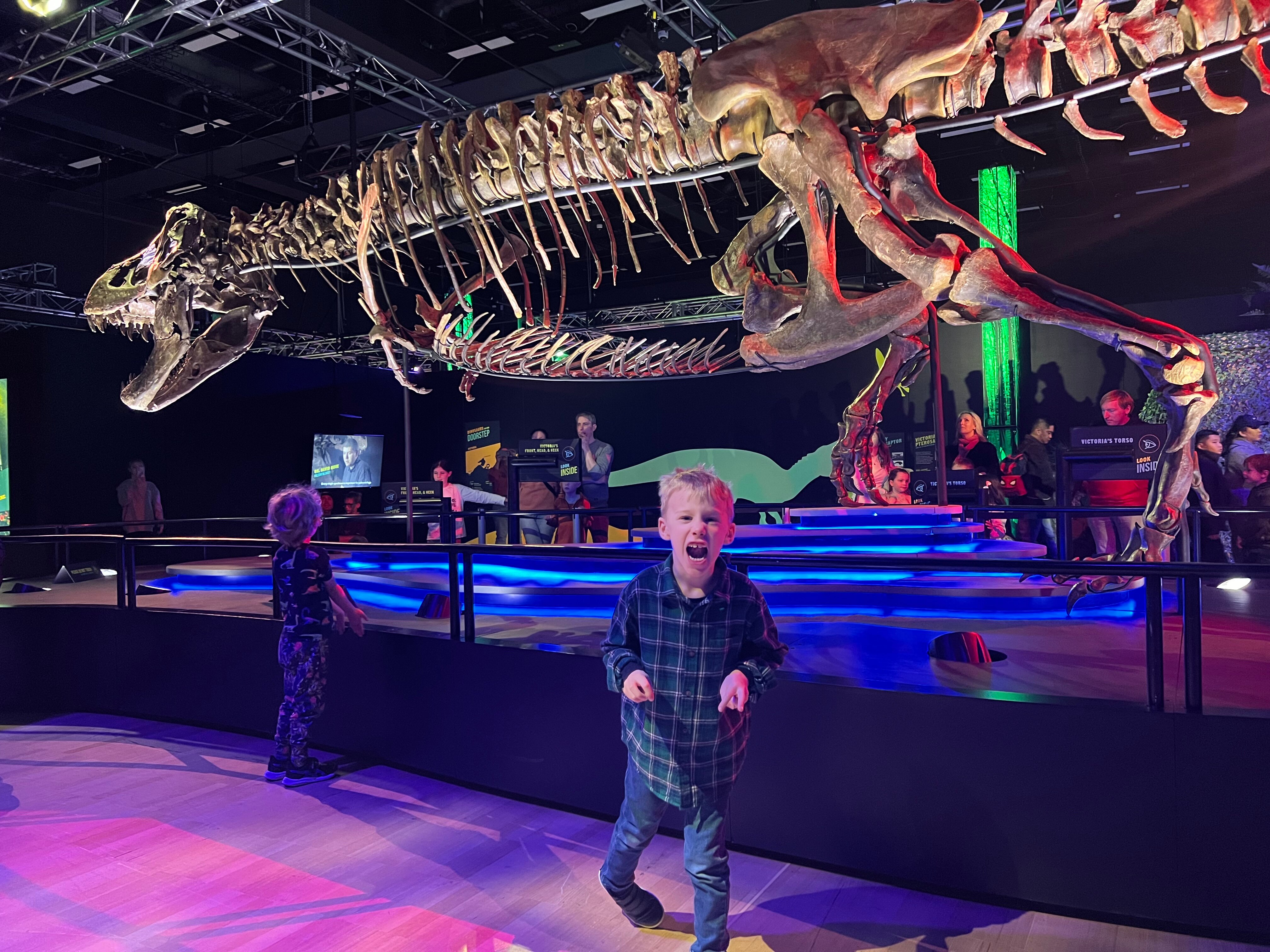 Victoria the T-Rex roaring new life into paleontology in Melbourne ...