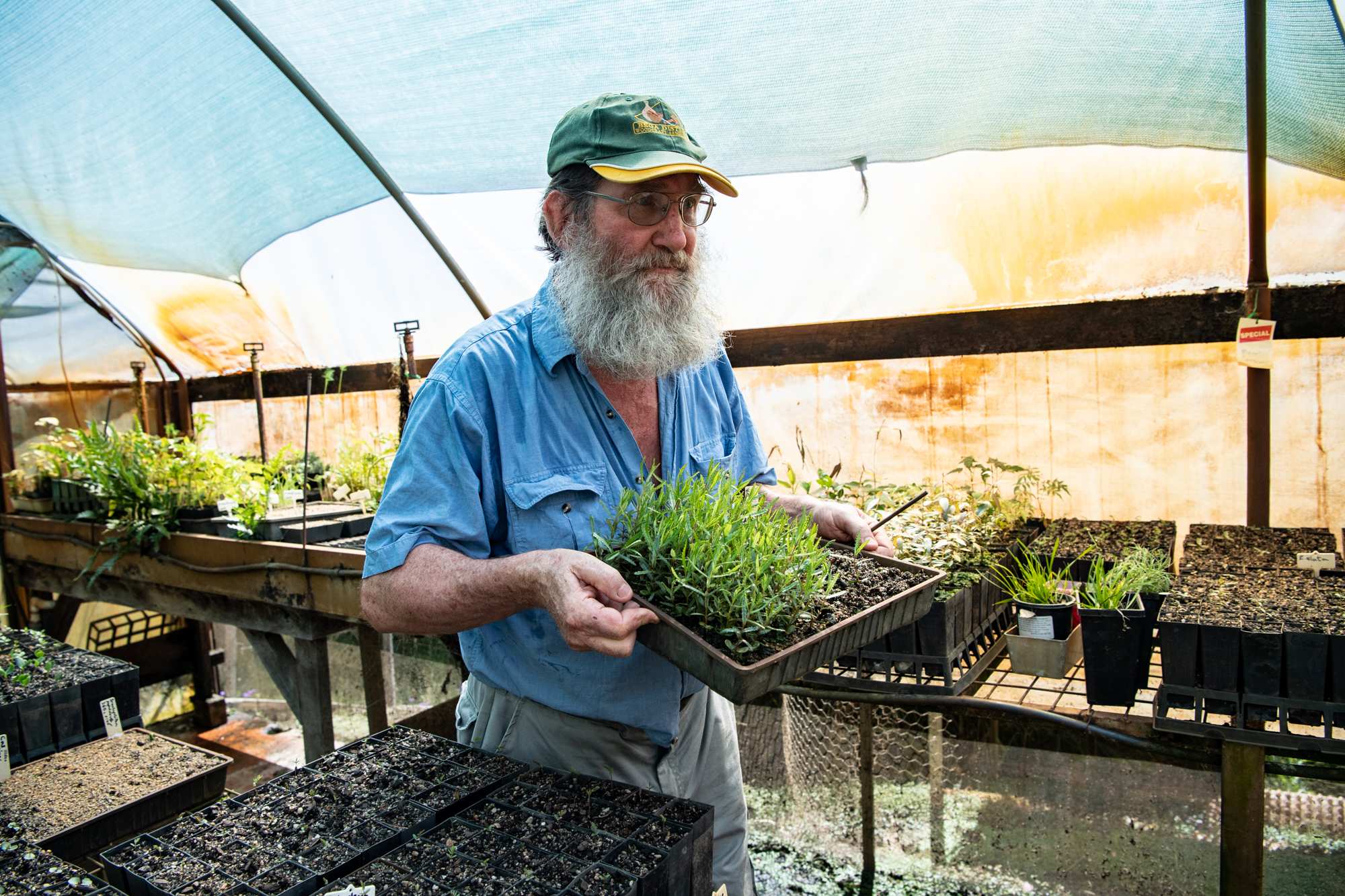 New rules around opioid prescriptions leave few…