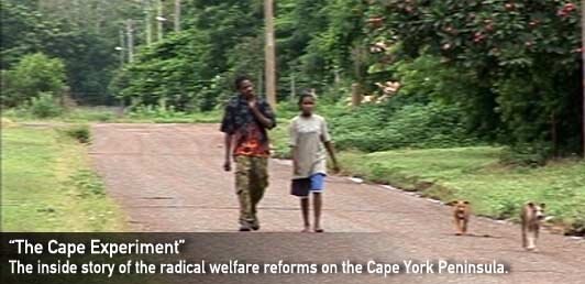 The Cape Experiment - ABC News