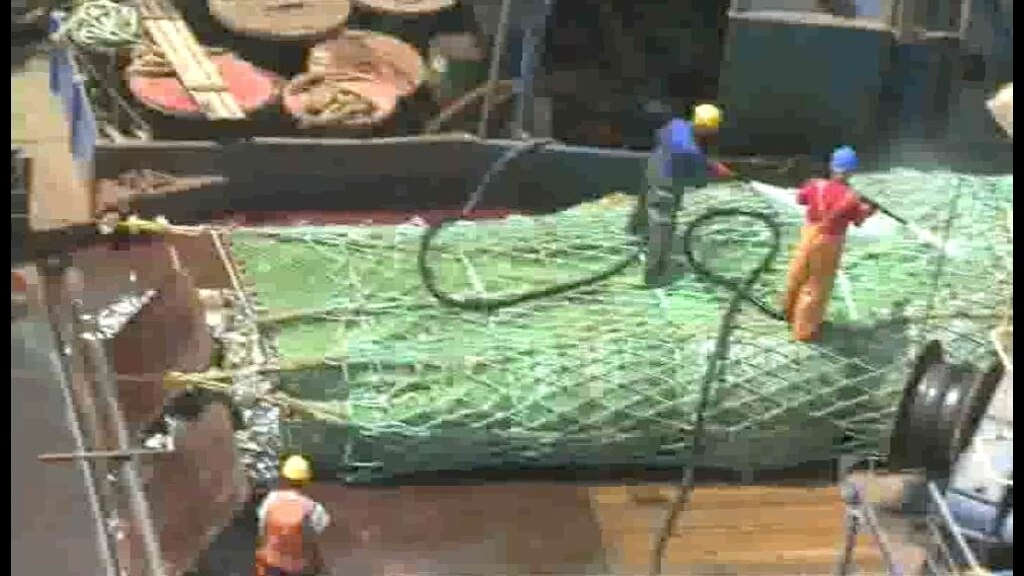 Company defends super trawler - ABC News