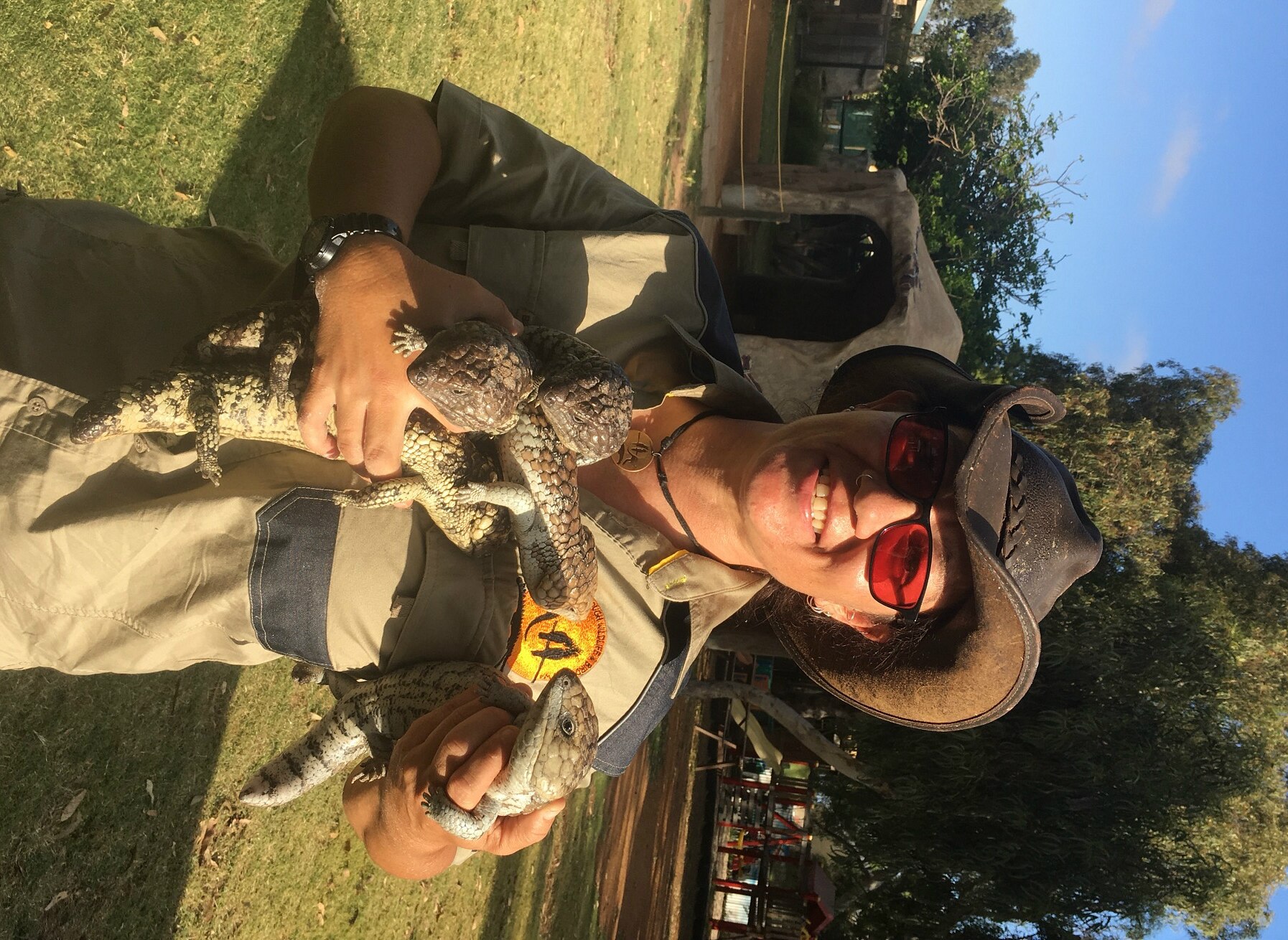 Bobtail lizard flu keeps WA wildlife centres busy - ABC News