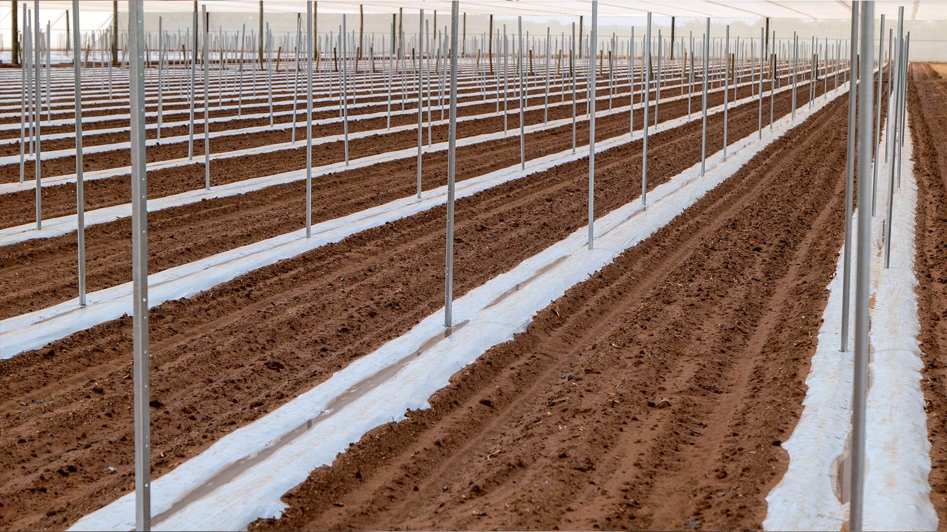 Ex-Tropical Cyclone Lincoln has 'moderate impact' on Gascoyne, but some ...