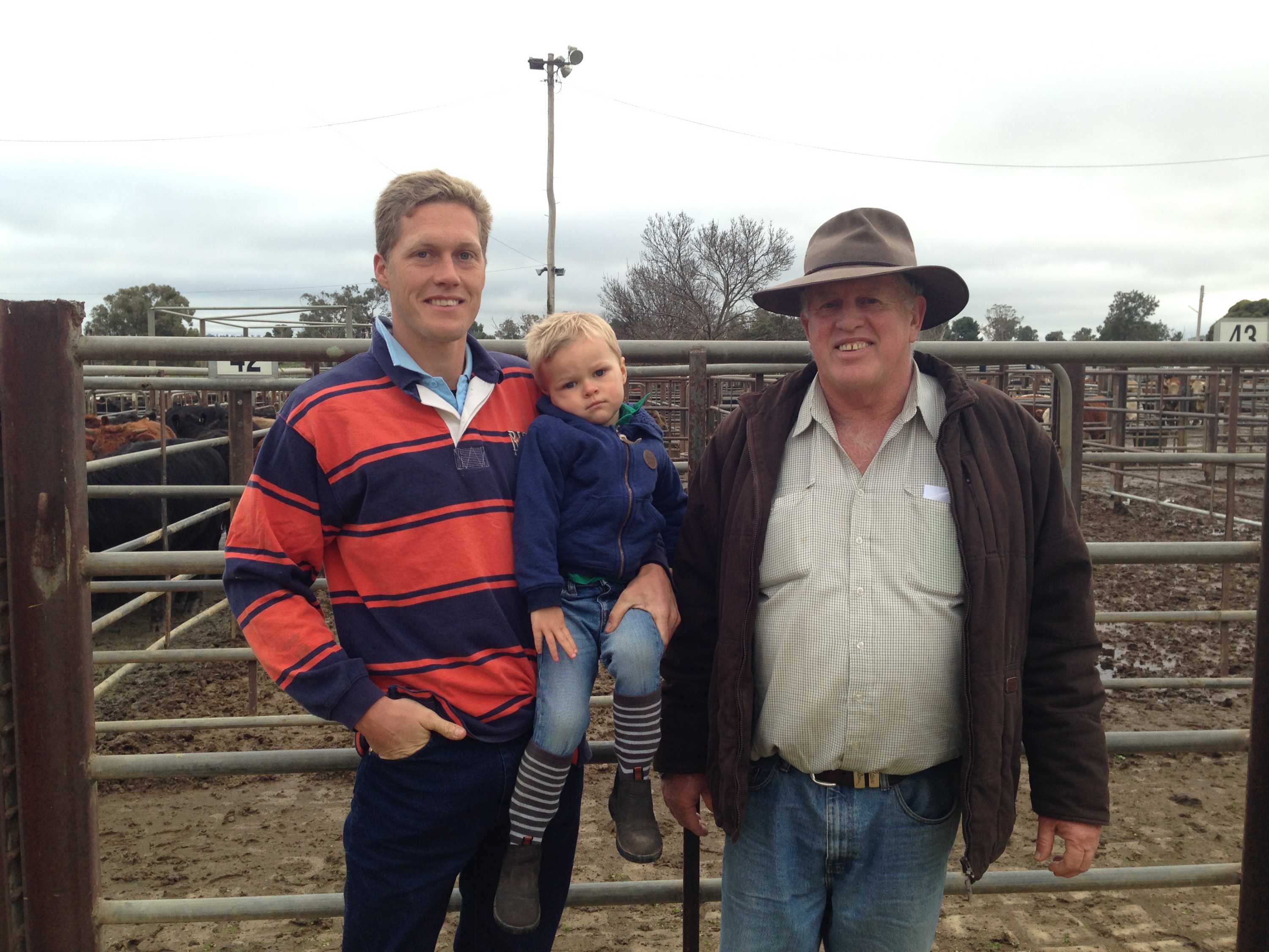 Australian beef farmers and agents celebrating record beef prices - ABC ...