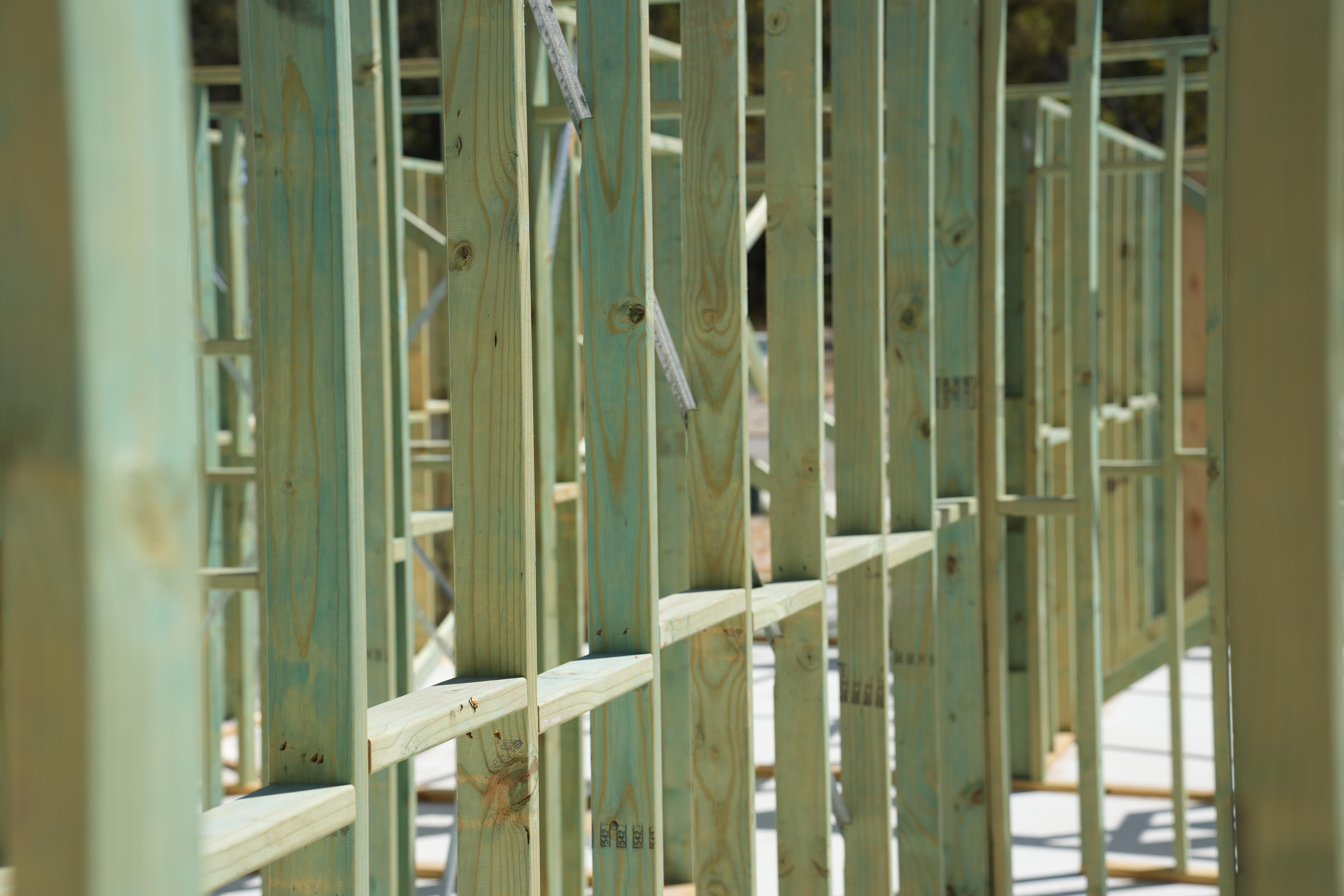 Blue gum research focuses on engineered timber, fast-tracking ...