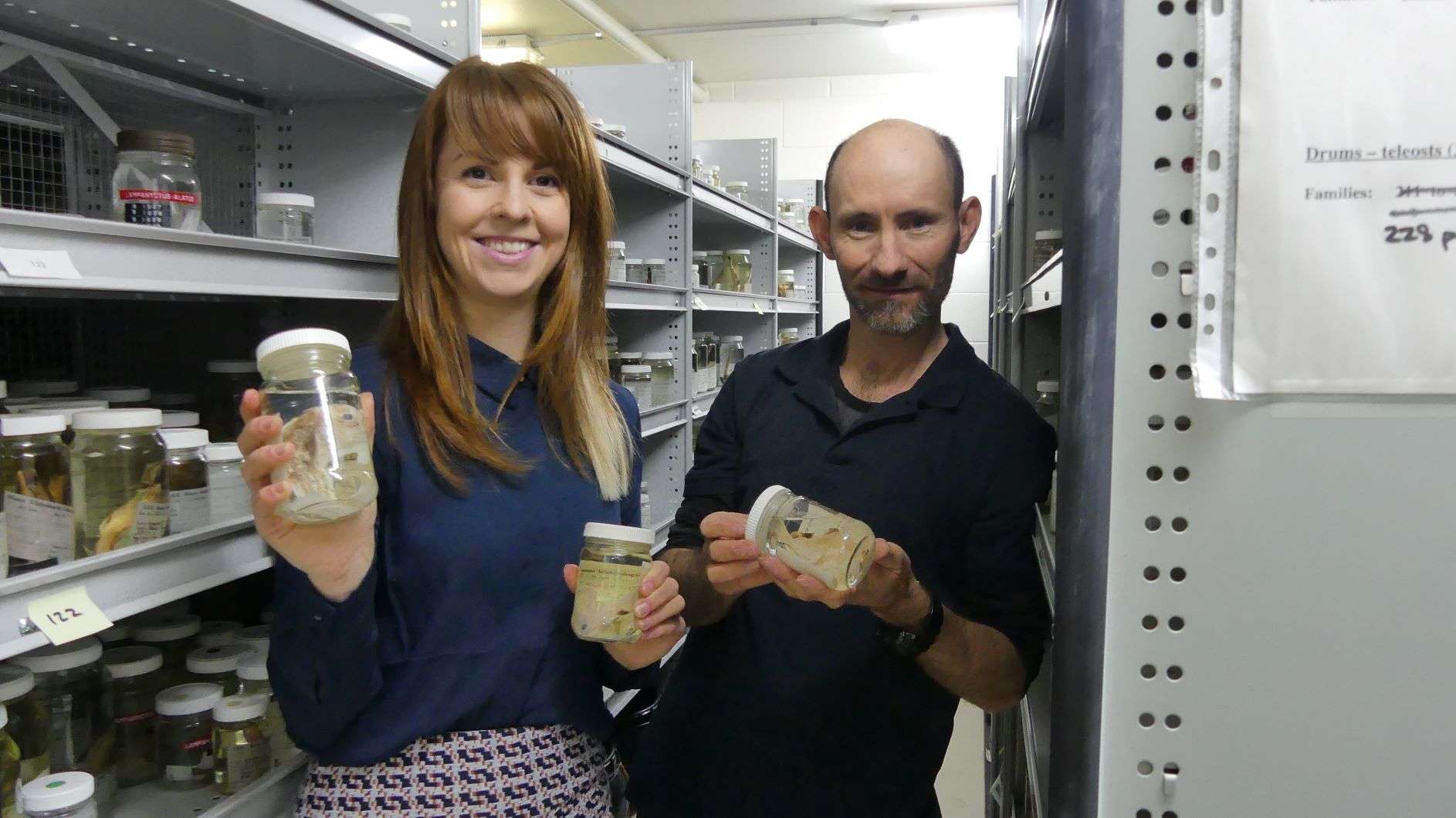 Scientists at Australian National Fish Collection liken workplace to ...