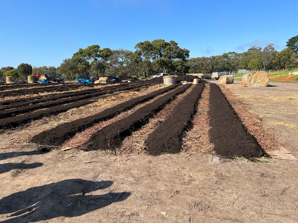 Costa's Corner | 7th April 2023 - Gardening Australia