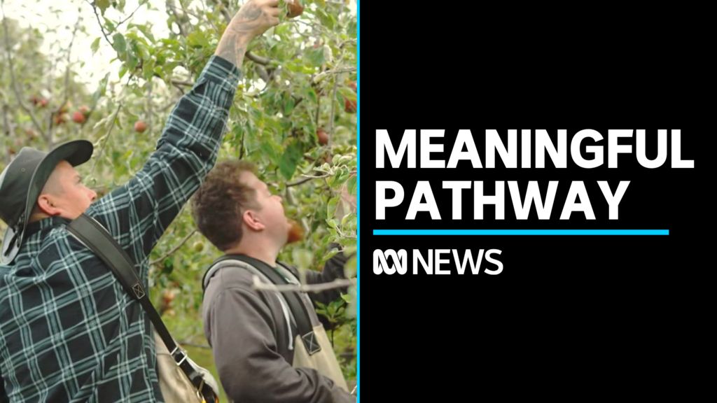 Farm gives fresh opportunities to people with disabilities - ABC News