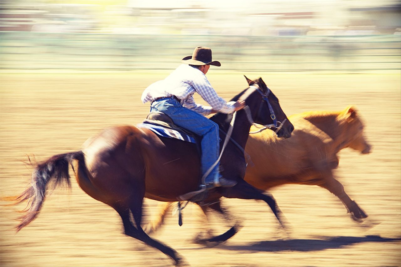 ACA national titles celebrate 40 years - ABC News