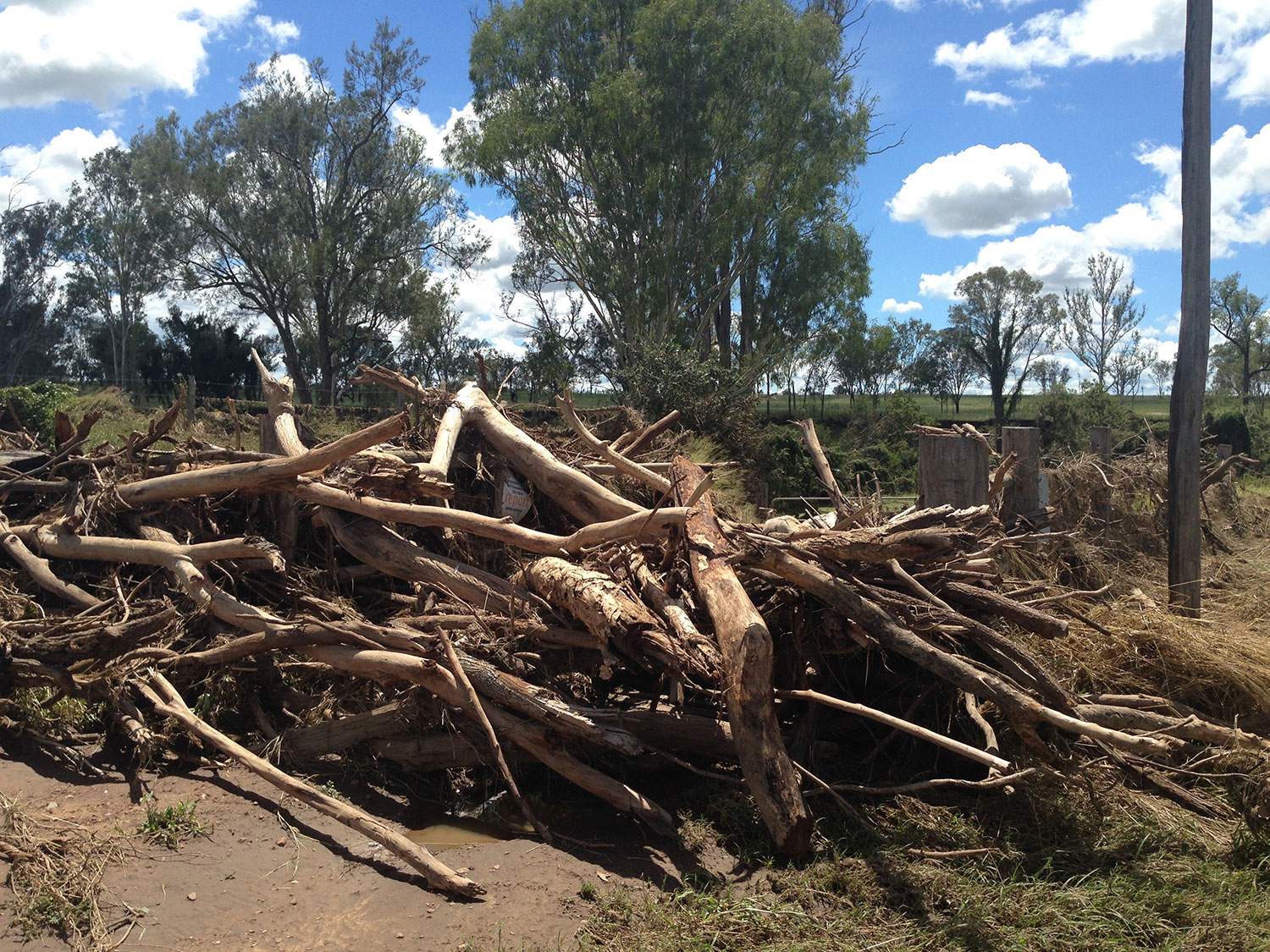 Tropical Cyclone Marcia: Gayndah citrus grower hit by floods for second ...