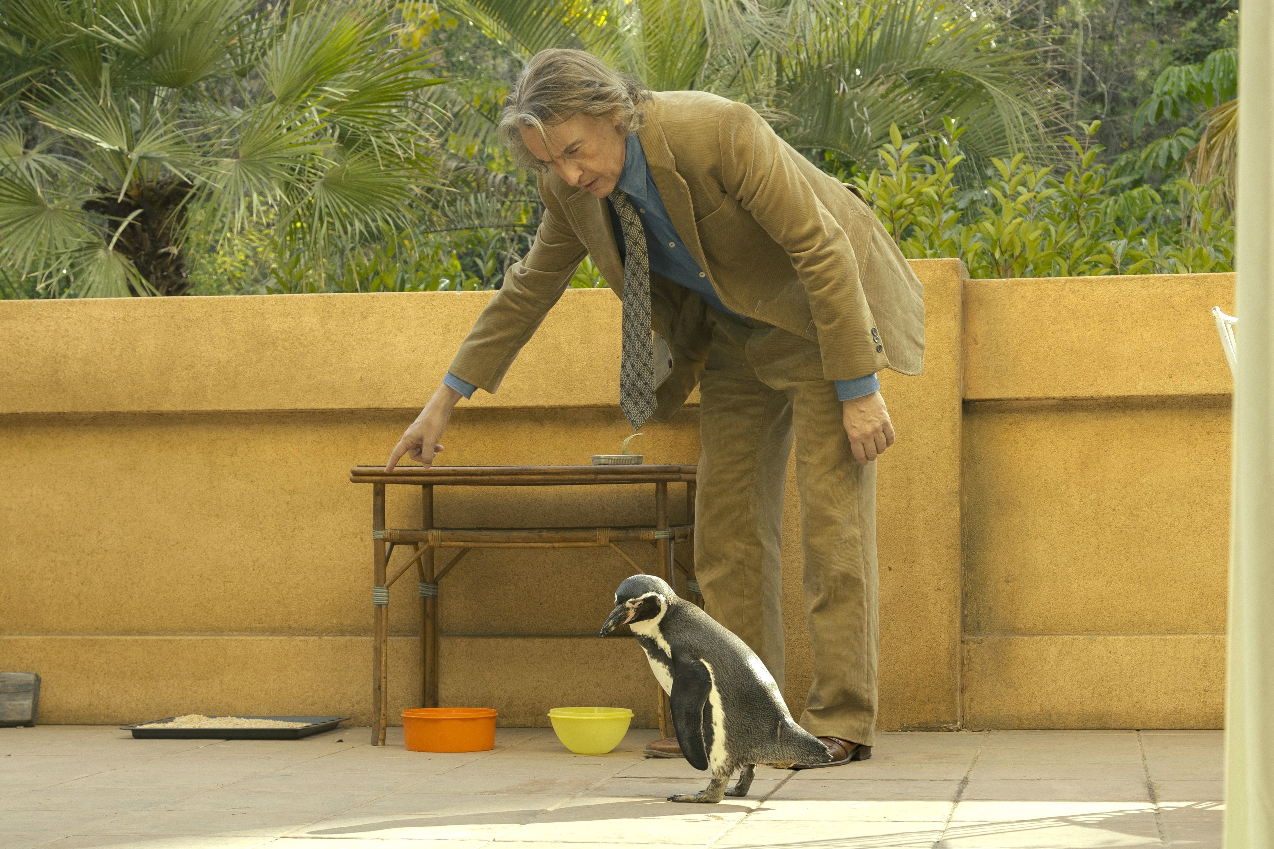 Steve Coogan almost gets outshone by a charismatic penguin in ...