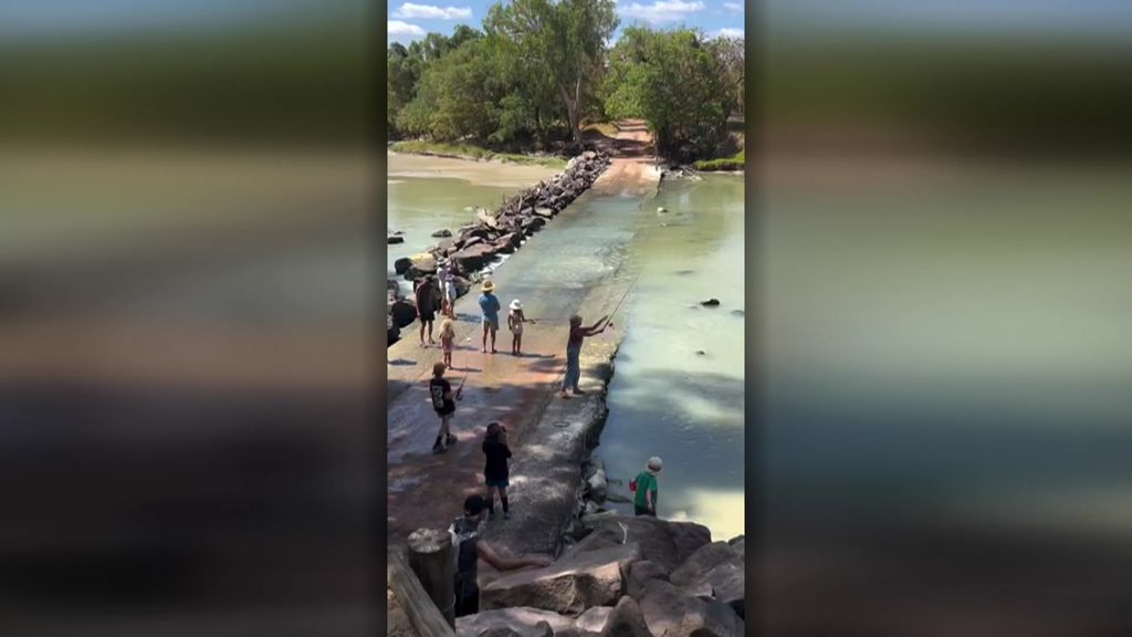 Video of people standing near crocodiles at Cahills Crossing - ABC News