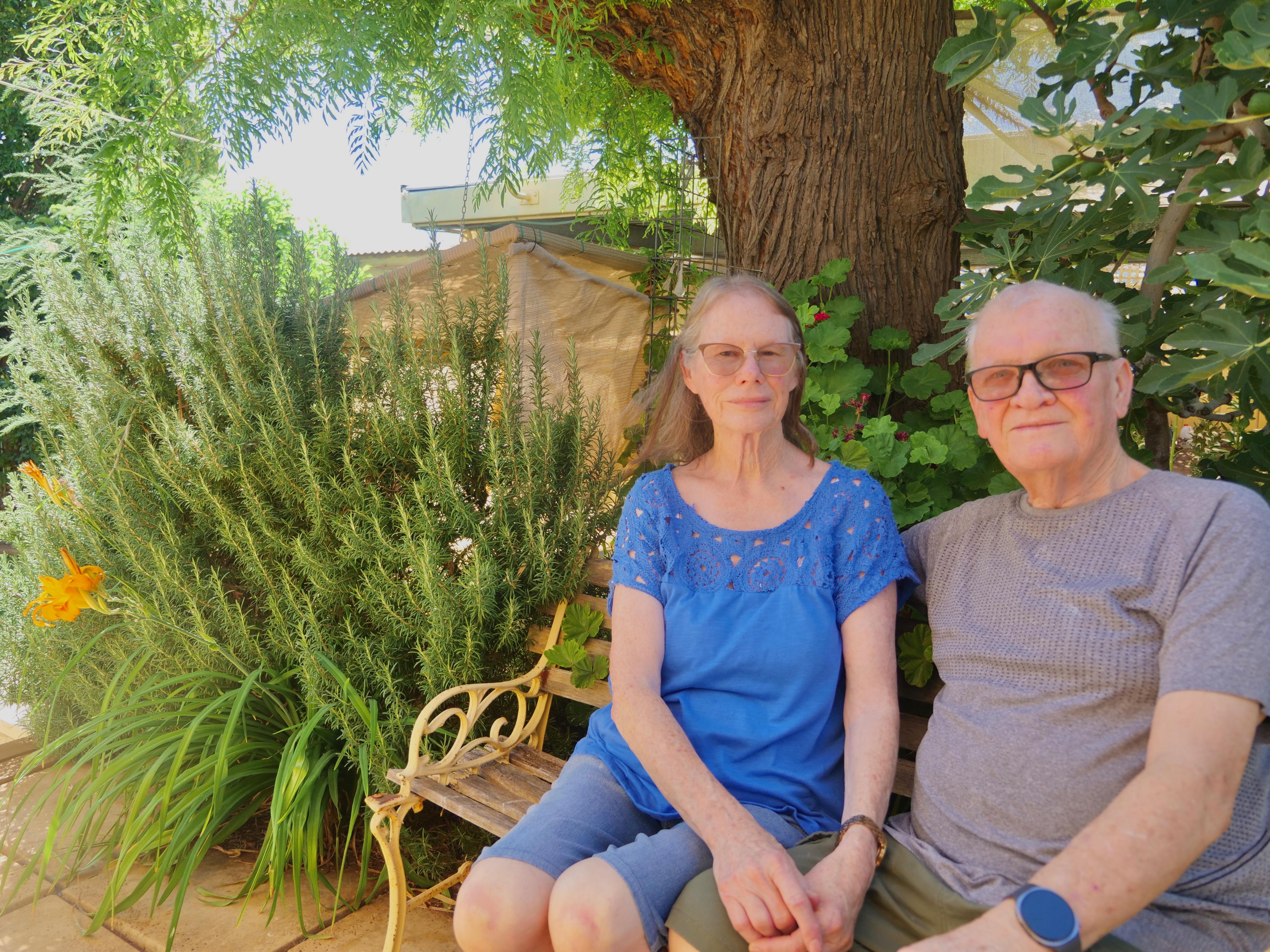 Broken Hill gardeners chop down trees in battle with Queensland fruit ...