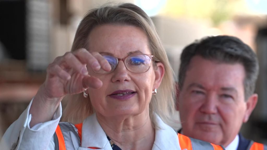 Sussan Ley returns after press conference to clarify her comments - ABC ...