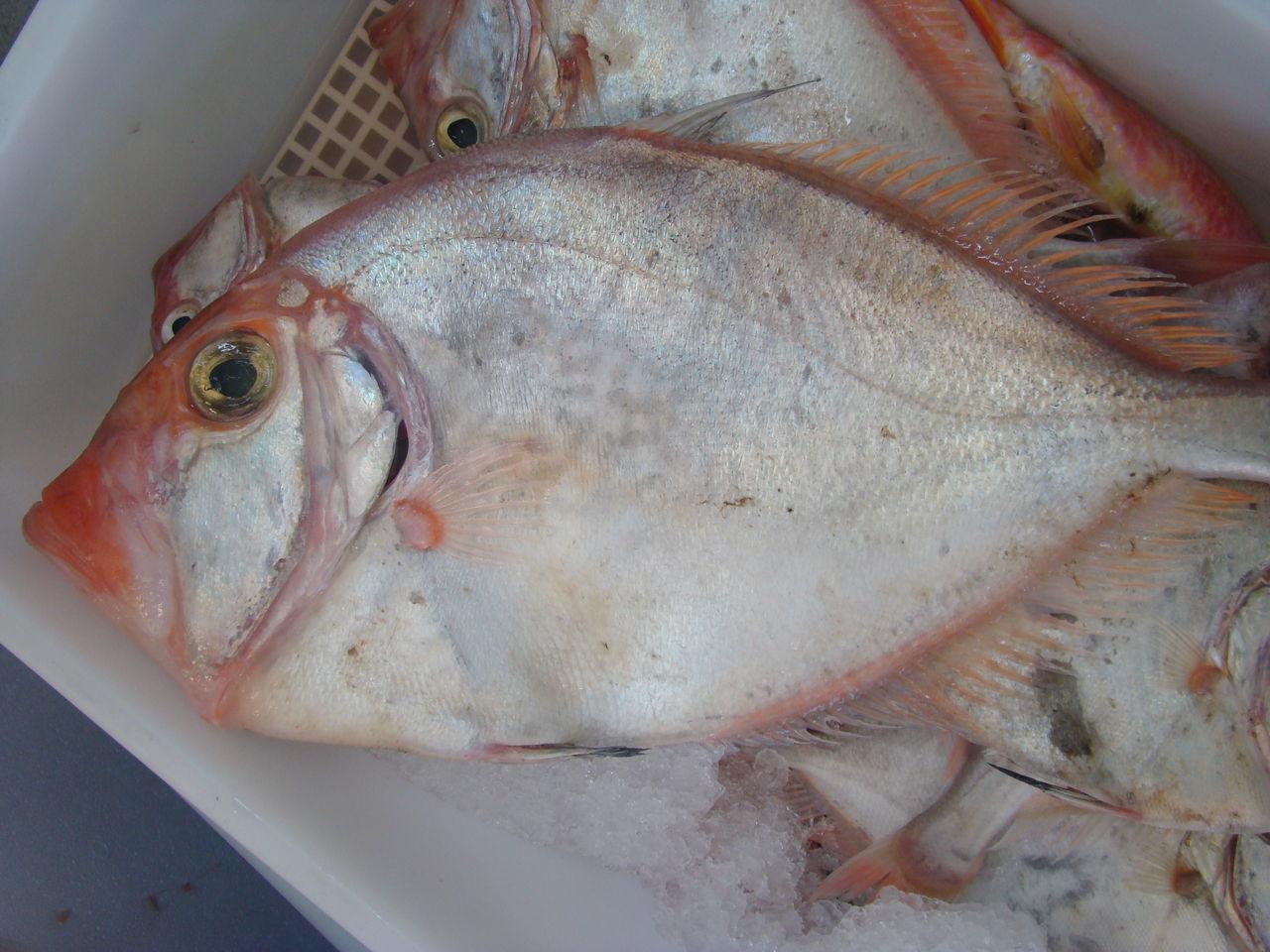Pacific-style whiting with lemon and coconut - ABC News