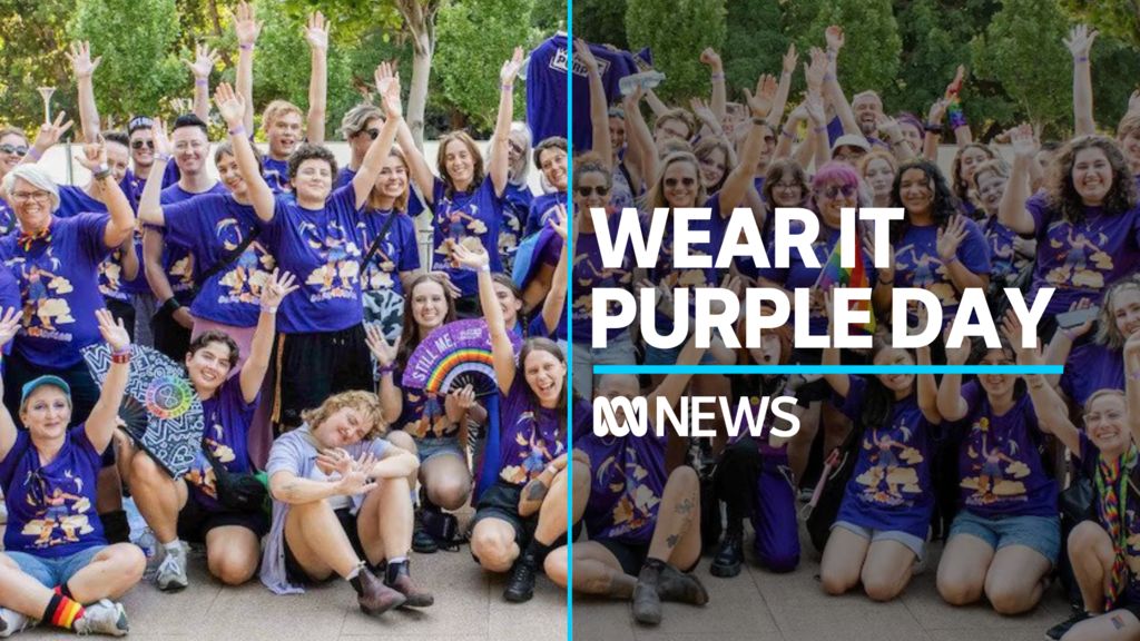 Wear it Purple co-founder says day still important for youth - ABC News
