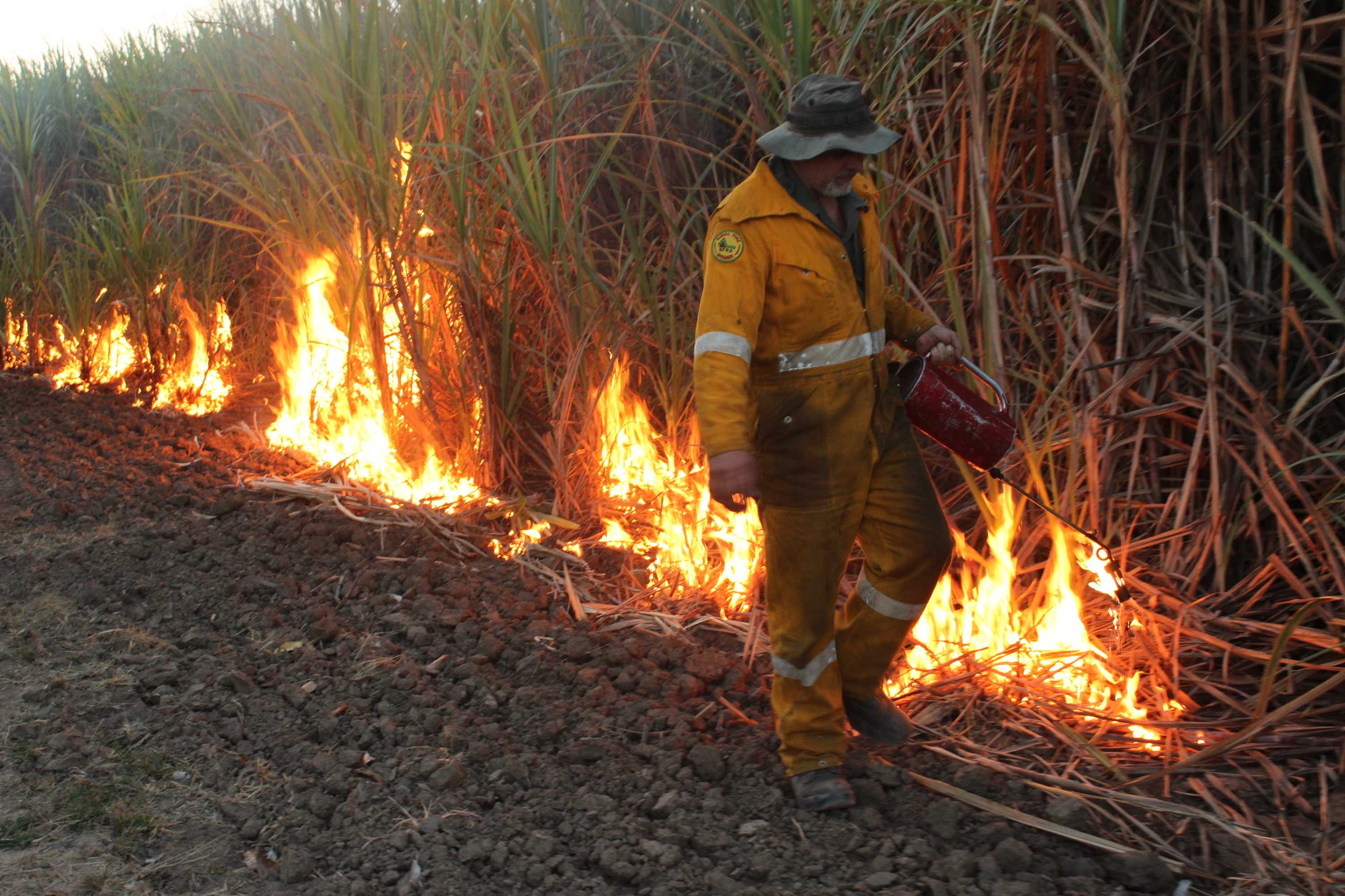 Canegrowers Burdekin sign cane supply agreements with Wilmar as prices ...