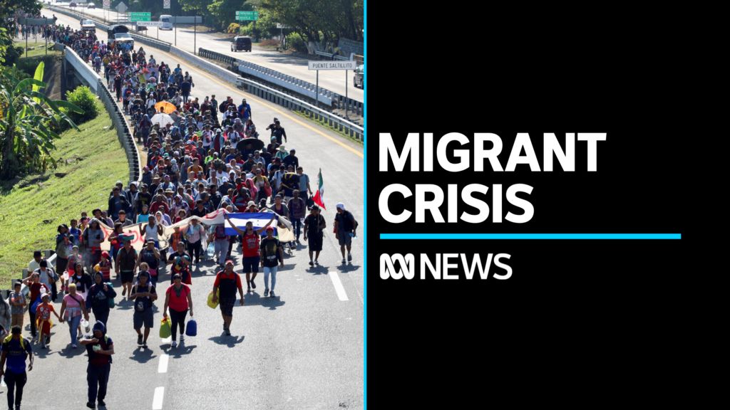 Immigration - Topic - ABC News