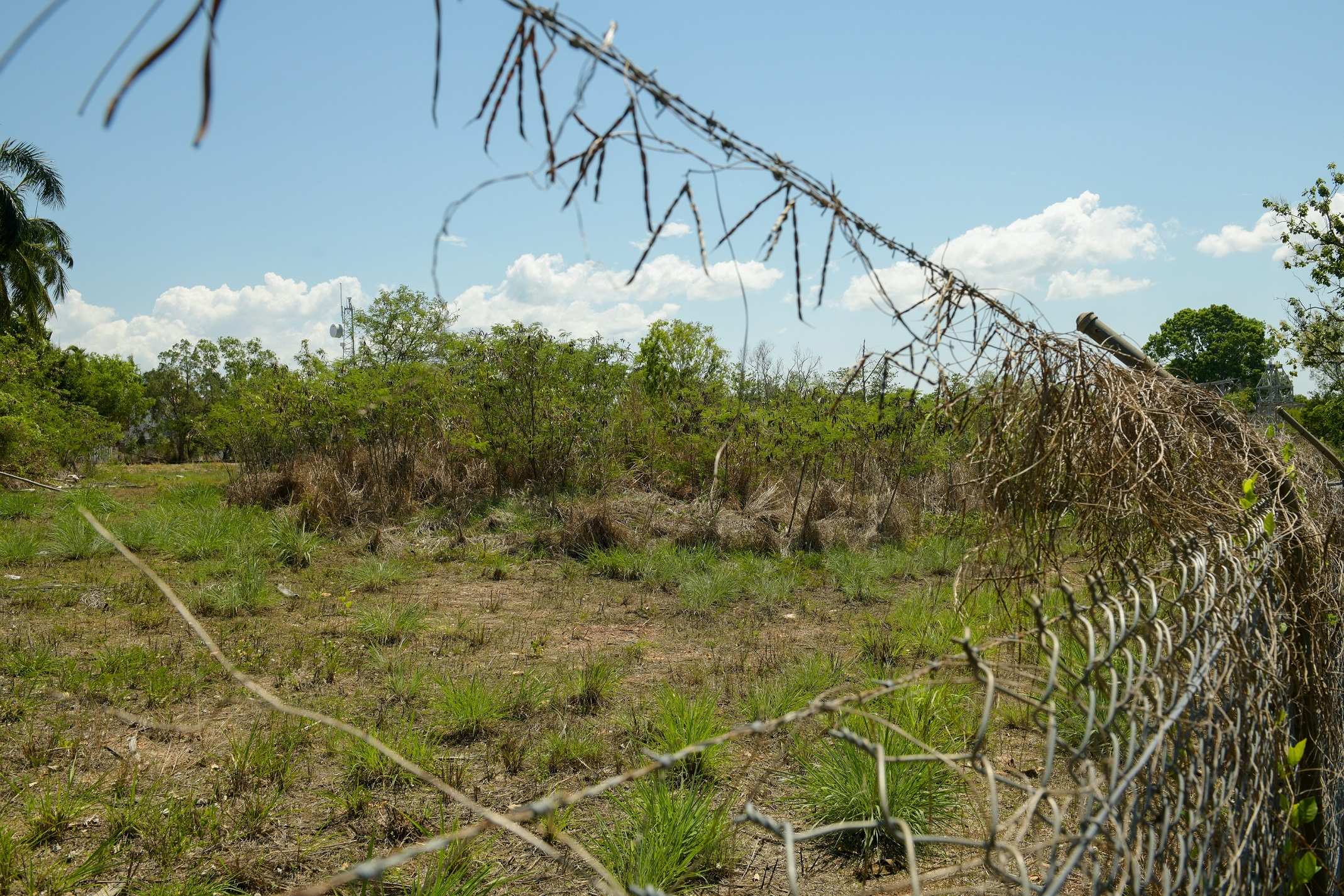 Planning Action Network fears new planning laws will make it easier for ...