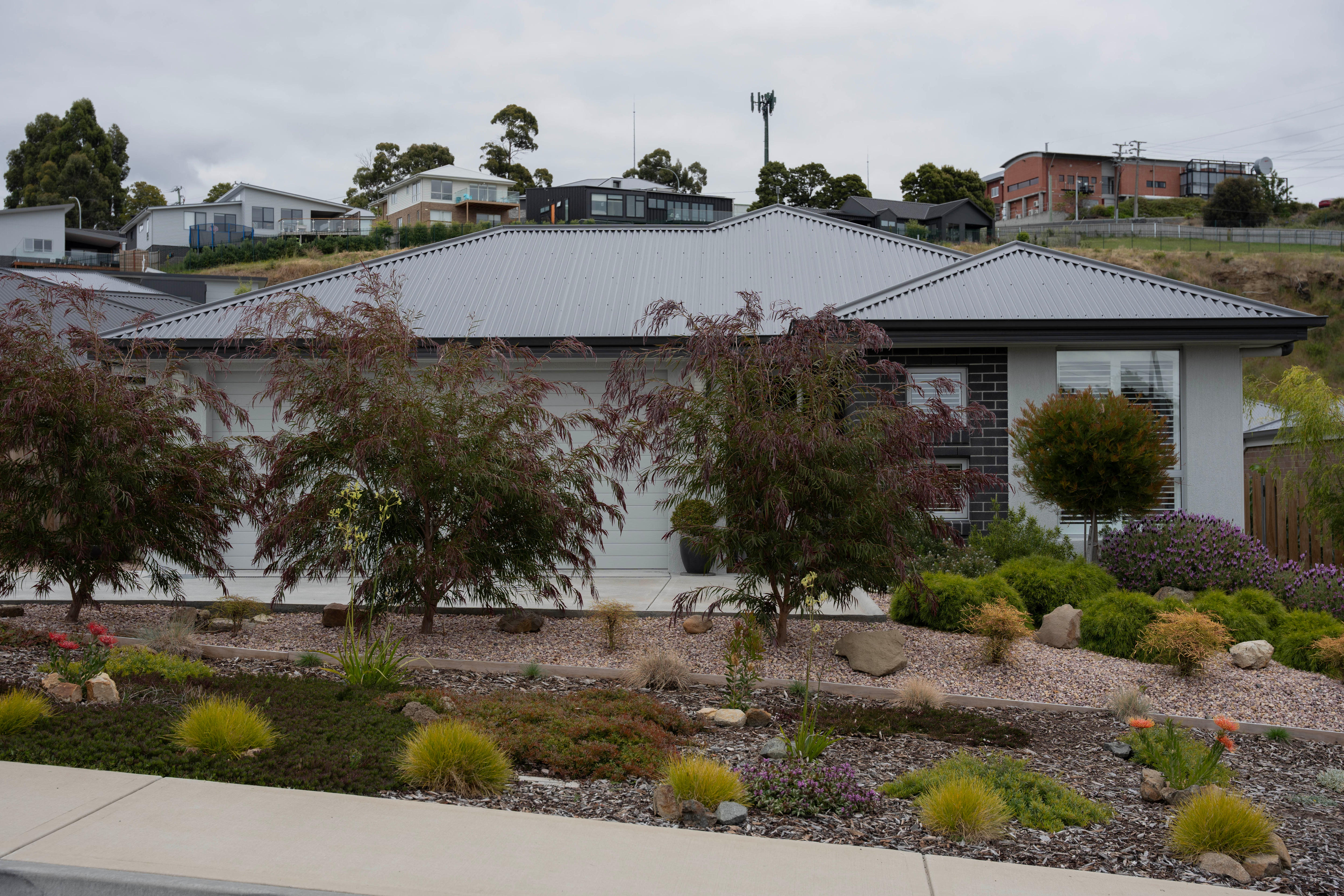 Hobart council changing rules for nature strips but strict rules to be ...